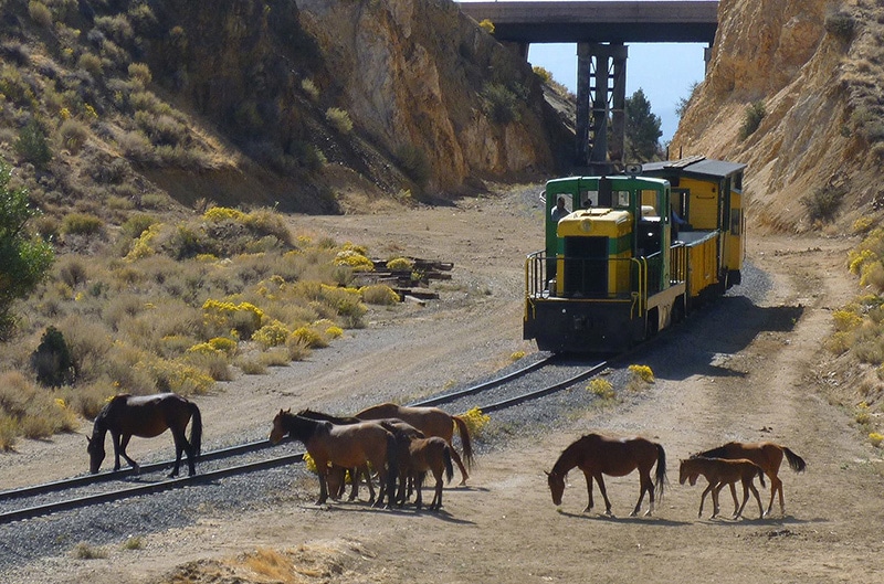 Ride the V&T Railroad!